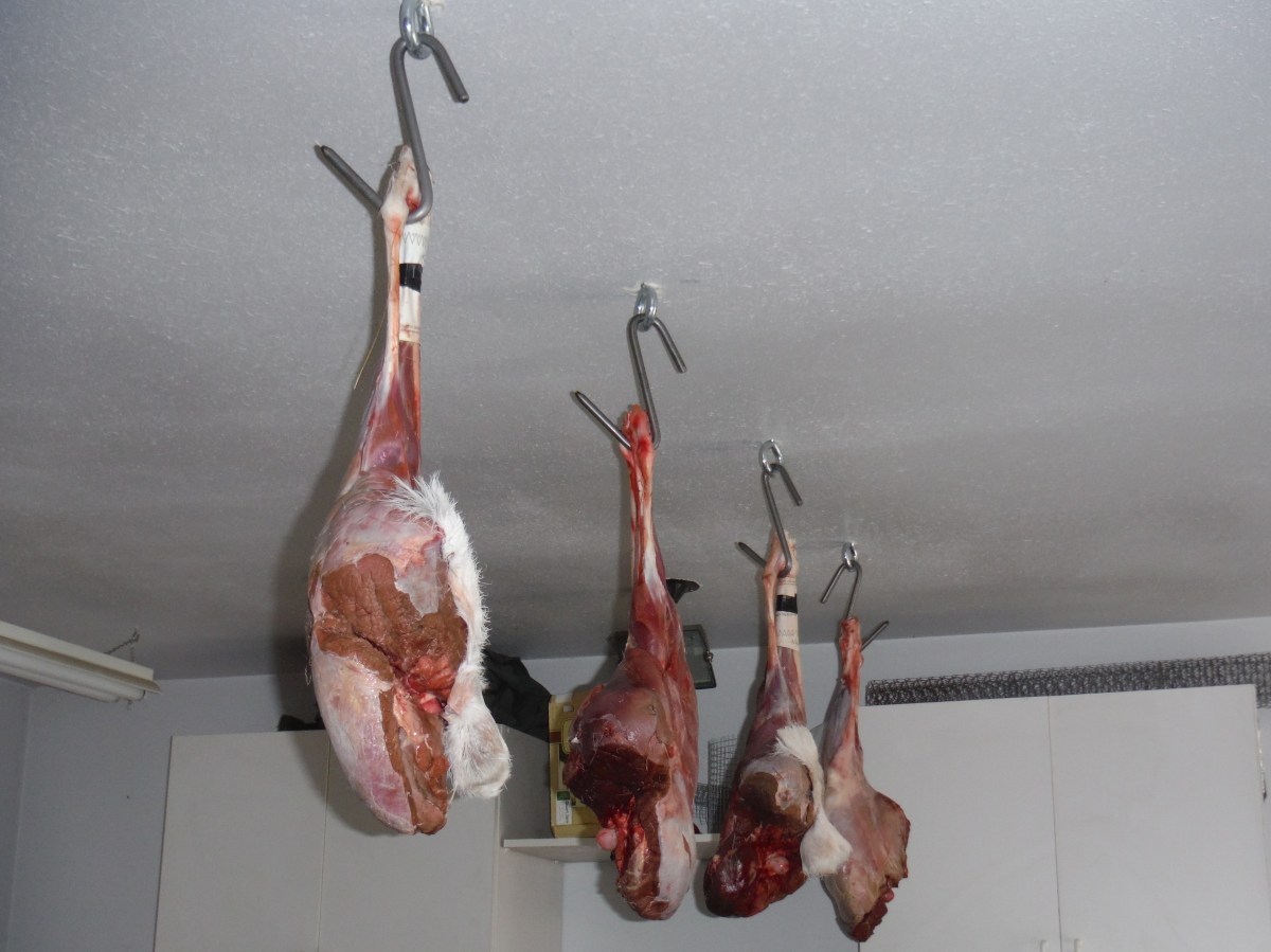 Freezer Overflow – HuntFiber